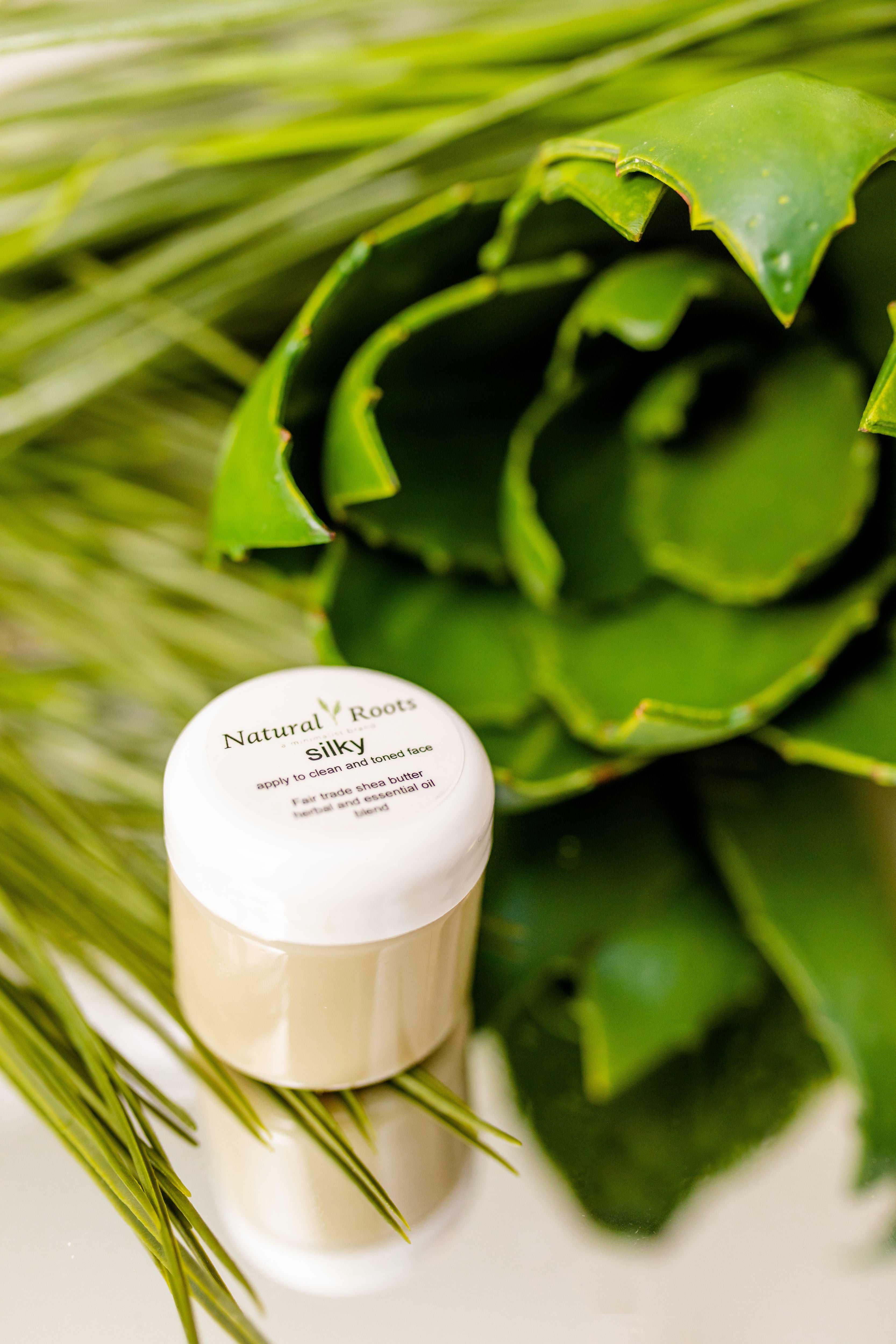 Silky (Face Moisturizer) – Natural Roots